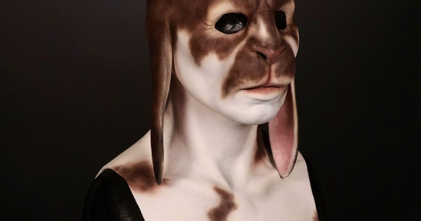 IN STOCK - Rabbit