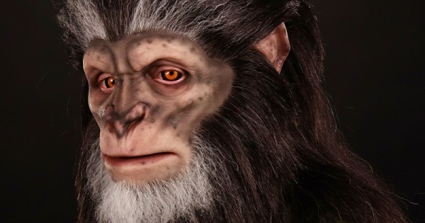 Simian Silicone Half Mask