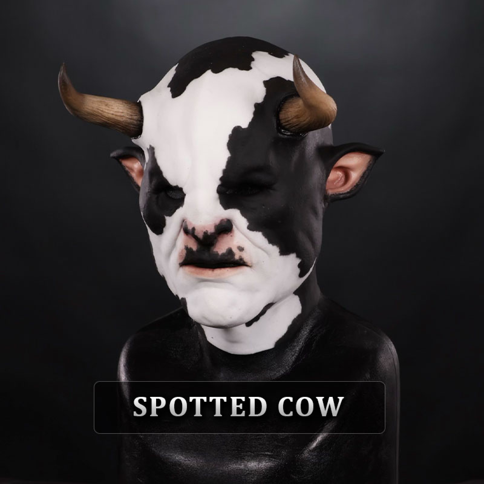 Centaur Silicone Half Mask