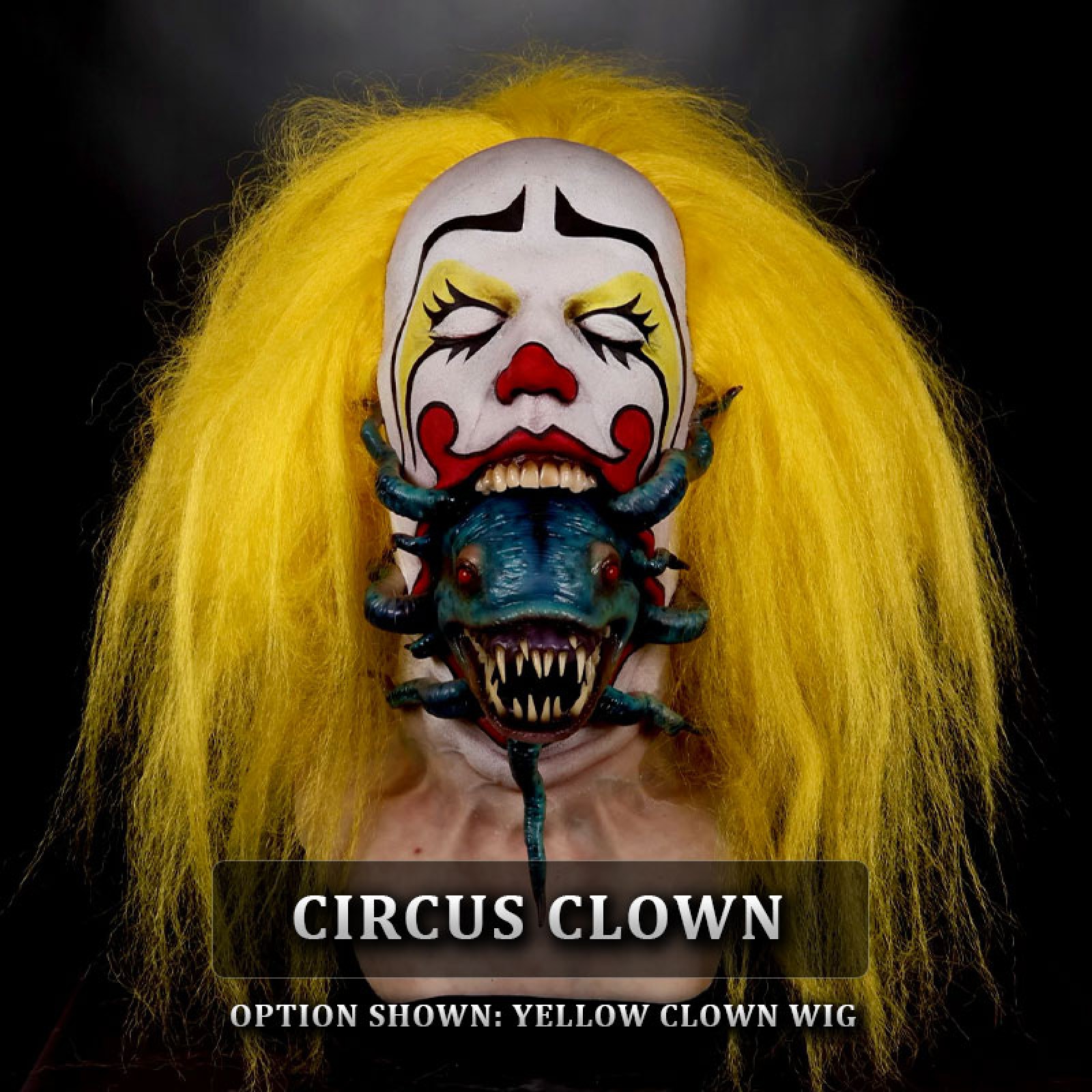 Passenger Silicone Mask