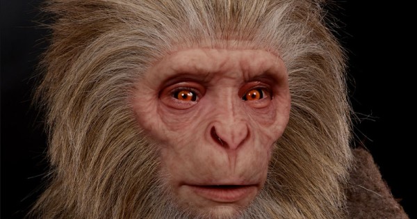 Monkey Female Fit Silicone Half Mask