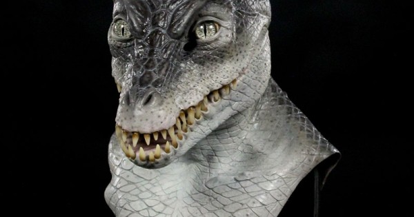 IN STOCK - Gator