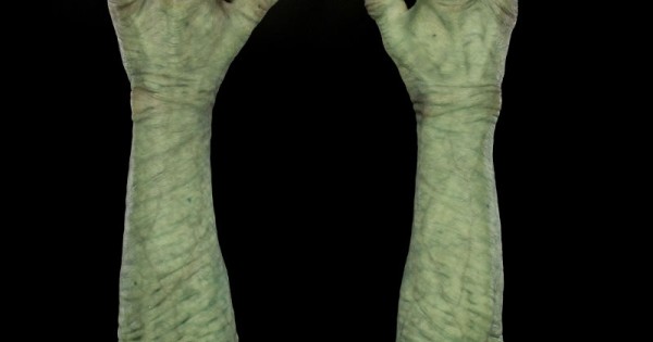 IN STOCK - Alien Sleeves Green