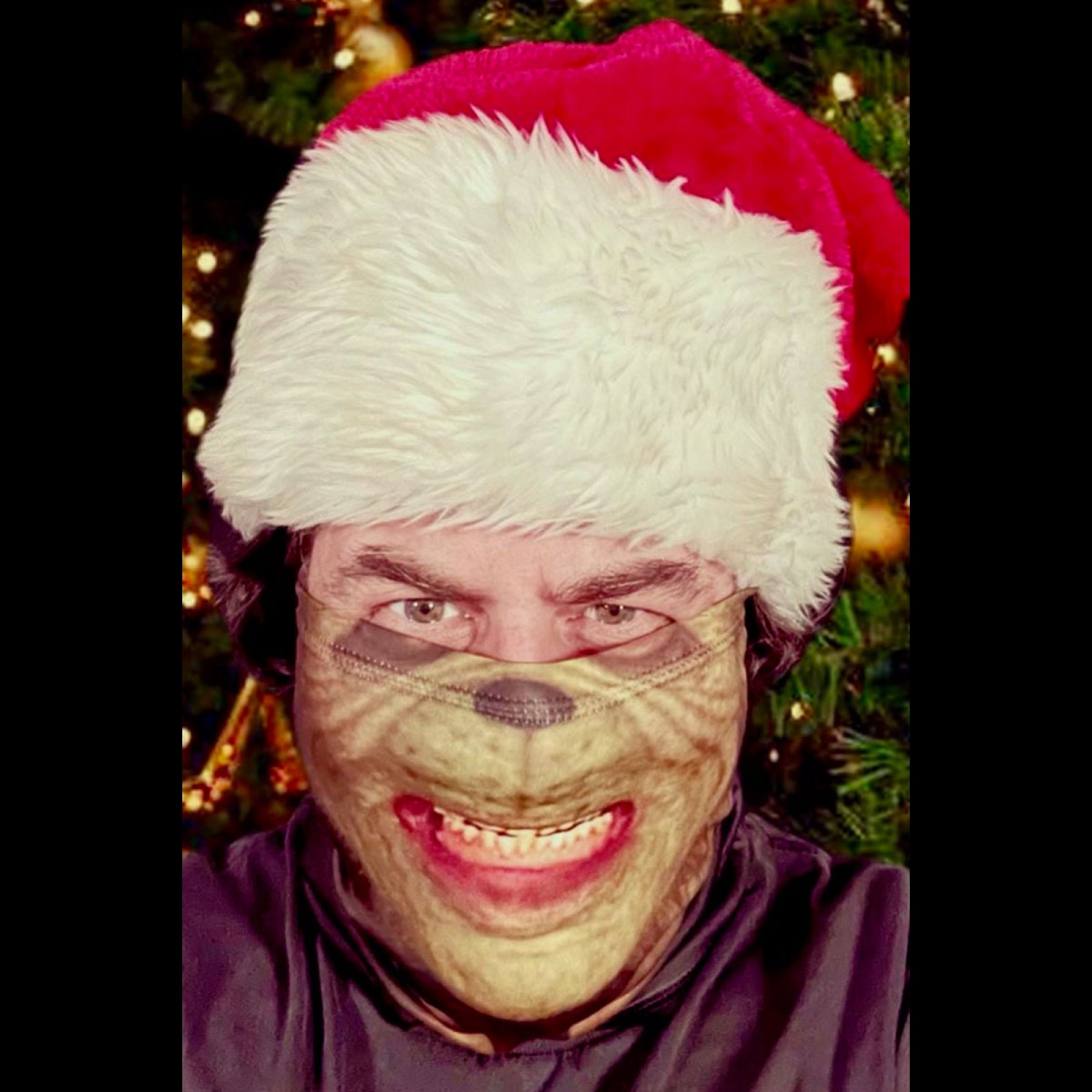 Christmas Grouch Cloth Face Mask