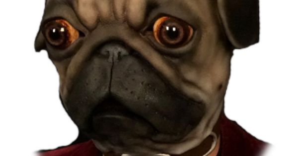 Pug Silicone Half Mask