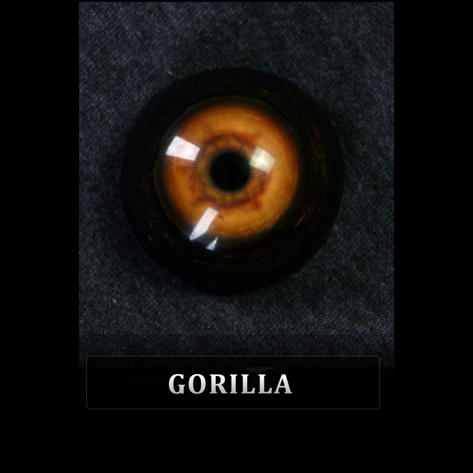 Cyclops Silicone Mask