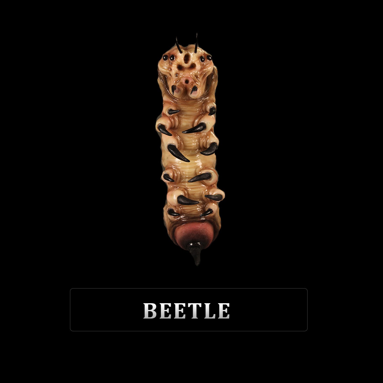 Larva Silicone Baby