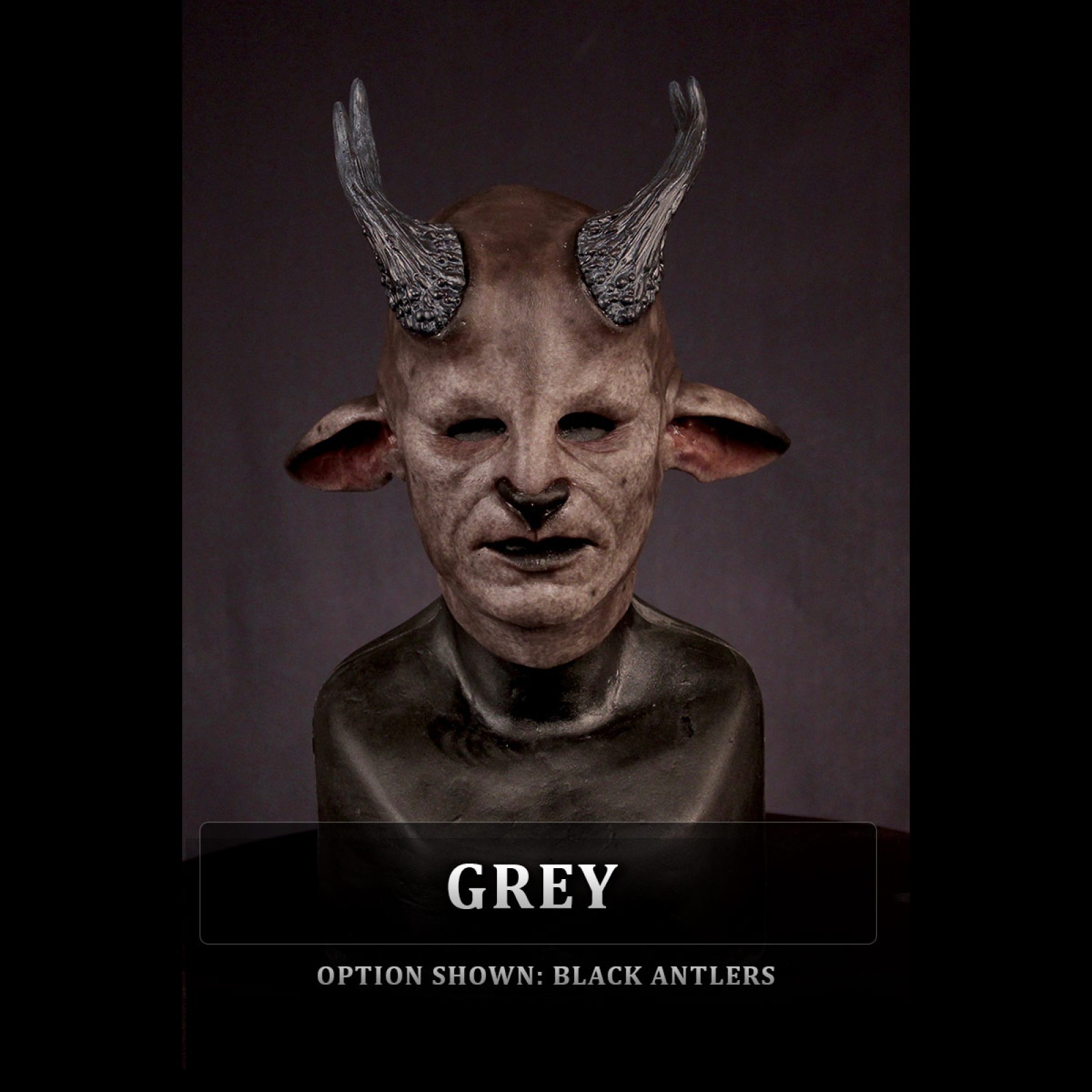 Pan Silicone Half Mask