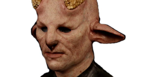 Pan Silicone Half Mask